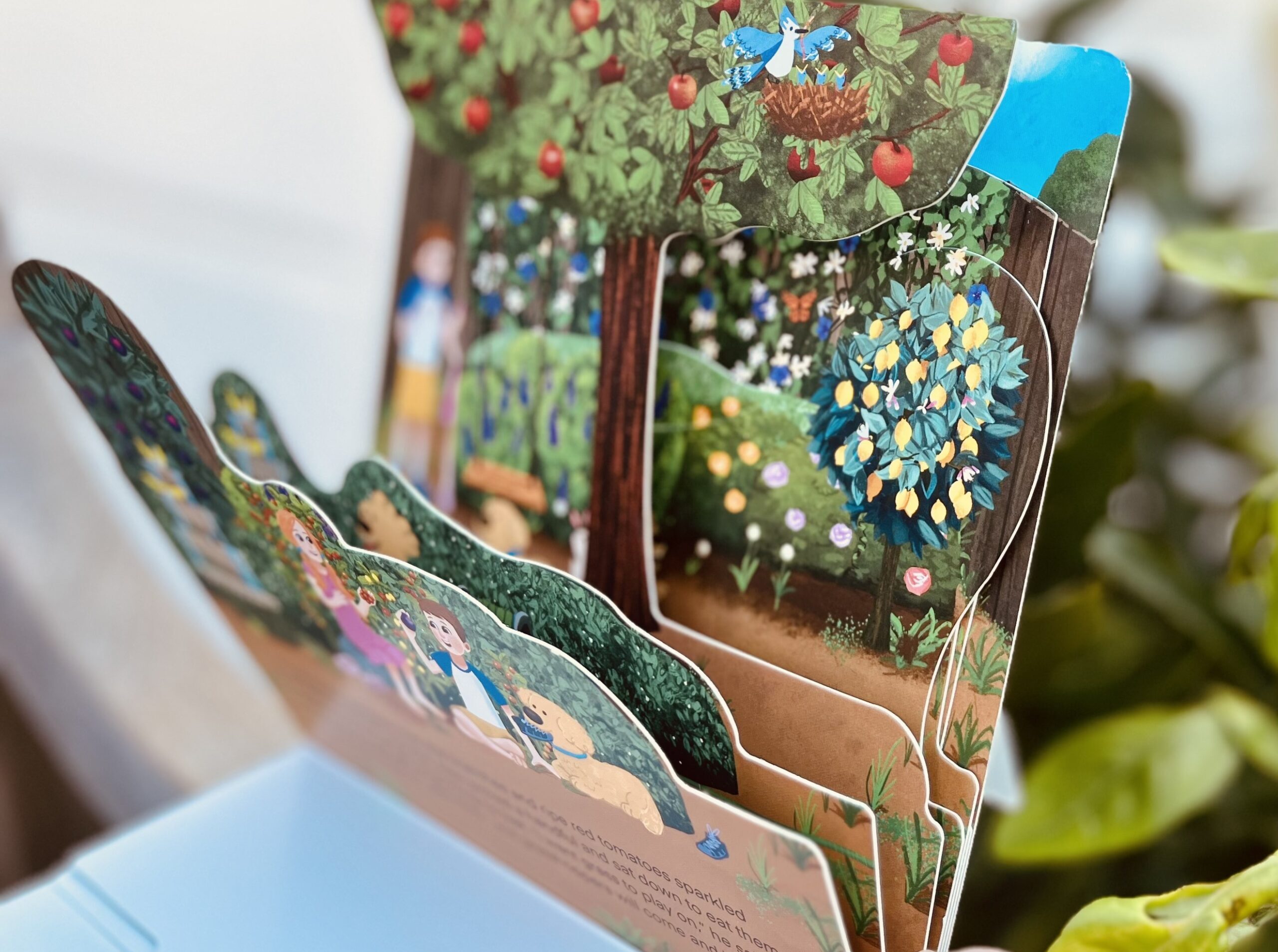 Watch Let's Make a Garden read aloud on Mr. Josh's Kool School - Build ...