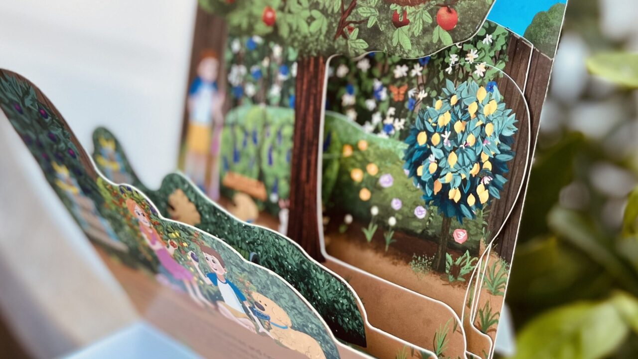 Watch Let's Make a Garden read aloud on Mr. Josh's Kool School - Build ...